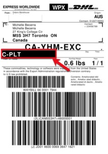 Ordoro - How do I use DHL Paperless Customs for labels?